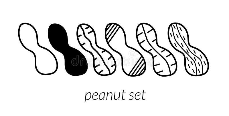 Set of 6 Peanuts. Linear Flat Simple Icons Collection Stock Vector ...
