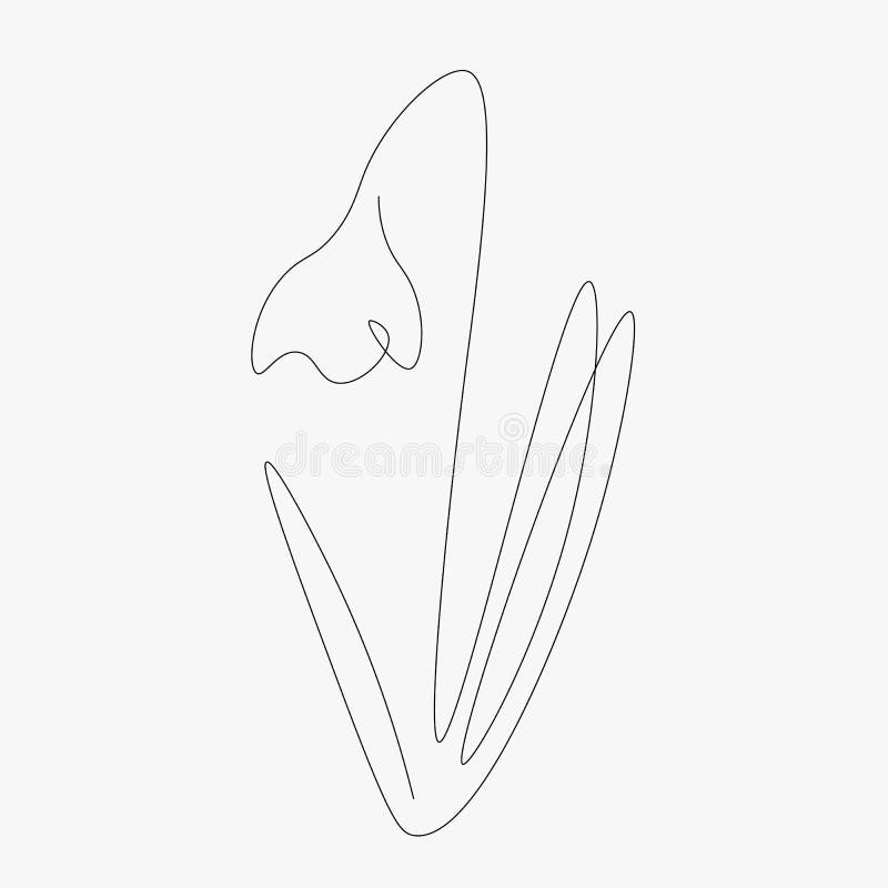 Spring Flower Snowdrop One Line Drawing, Vector Stock Vector ...