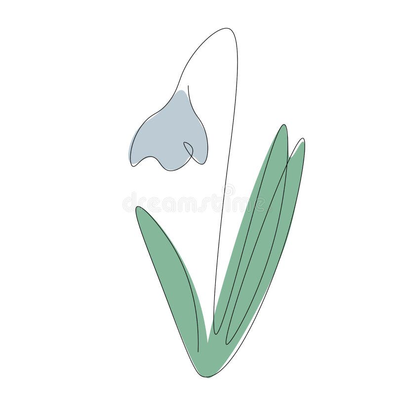 Spring Flower Snowdrop One Line Drawing, Vector Stock Vector ...