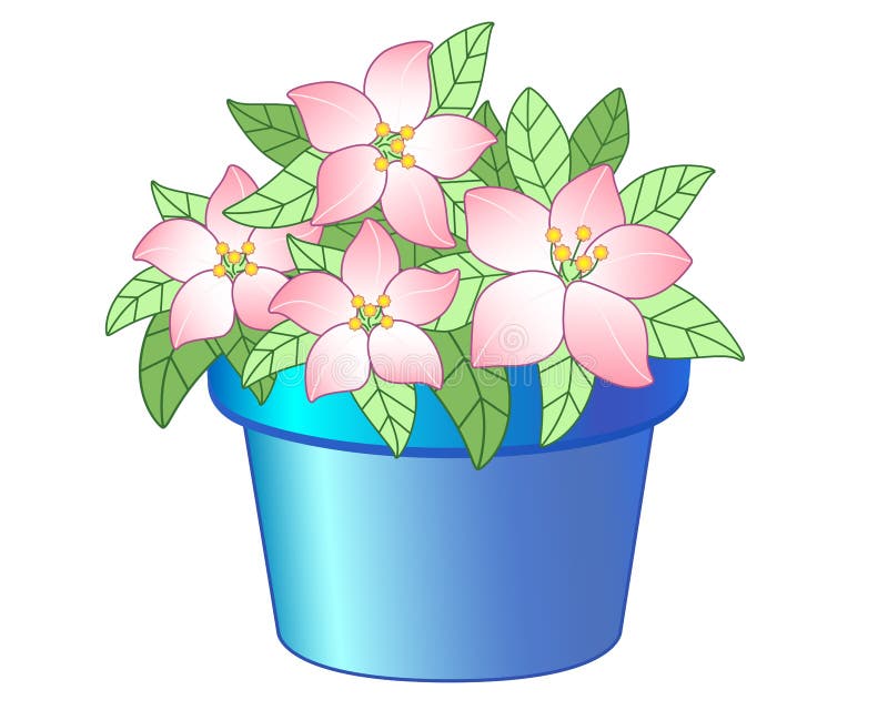 Blue Flowerpot with Pink Flowers Vector Drawing. Beautiful, Lush ...