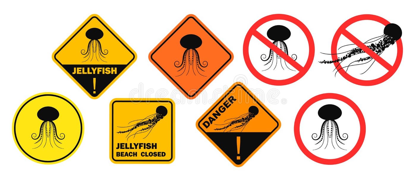 Beware Jellyfish Stock Illustrations – 84 Beware Jellyfish Stock ...