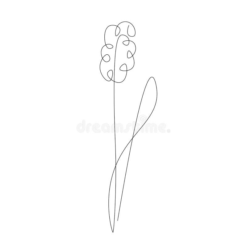 Spring First Flower. Continuous Line Drawing Stock Vector ...
