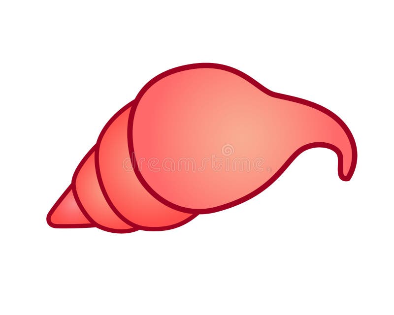 Pink Cone-shaped Seashell - Vector Full Color Picture. Ocean in a Shell ...