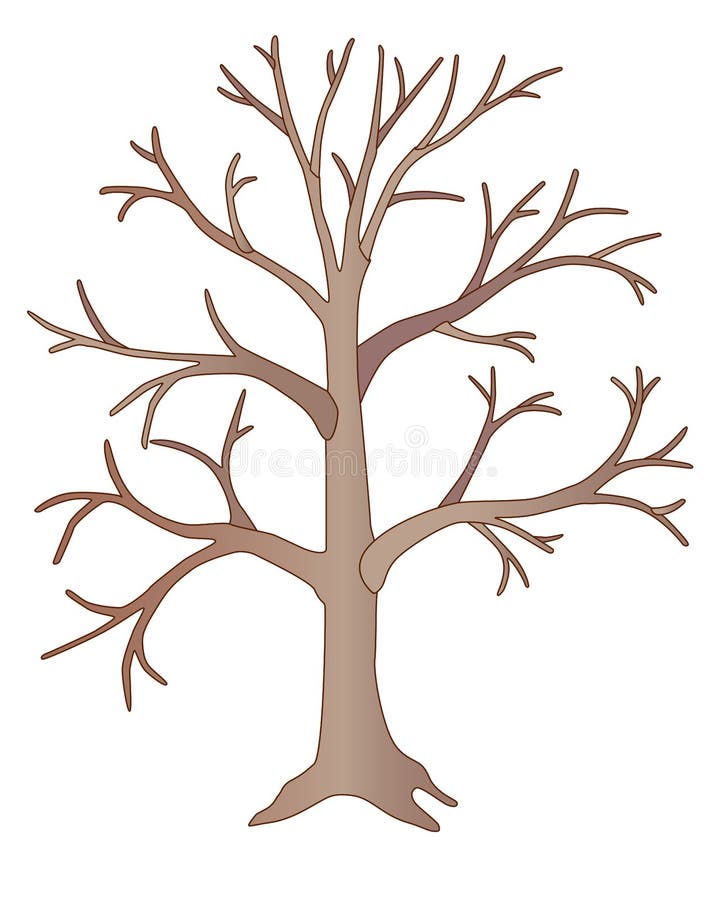 Big Light Brown Tree without Leaves - Vector Full Color Picture. a Tree ...