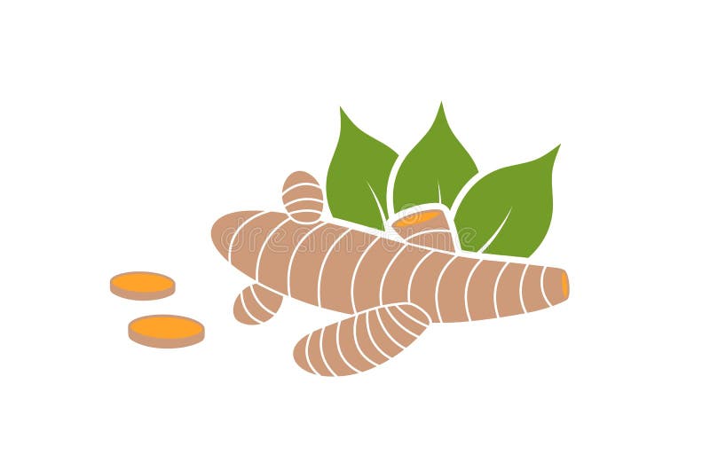 Turmeric Logo. Isolated Turmeric on White Background Stock Vector ...