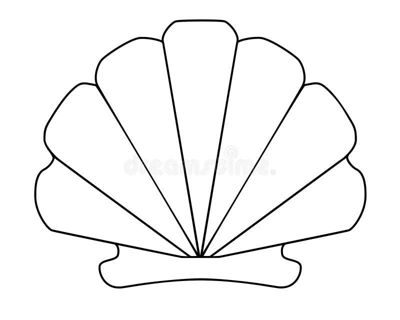 Clam Shell Drawing
