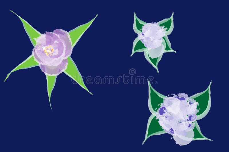 Water Flower on Blue Background. Stock Vector - Illustration of black ...