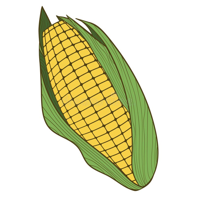 Corn Cob with Geometric Pattern - Vector Illustration Stock Vector ...