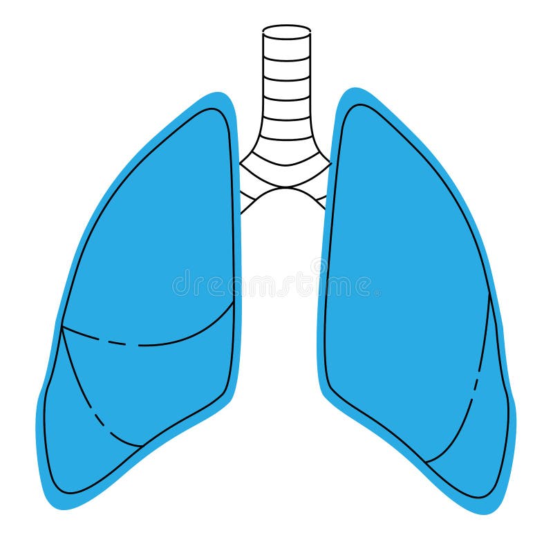 Pulmone Stock Illustrations – 1 Pulmone Stock Illustrations, Vectors ...