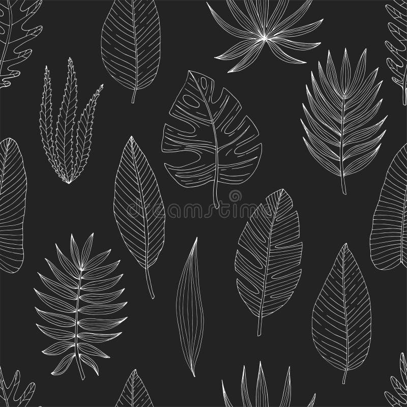 Topical Pattern Black White Stock Illustrations – 84 Topical Pattern ...