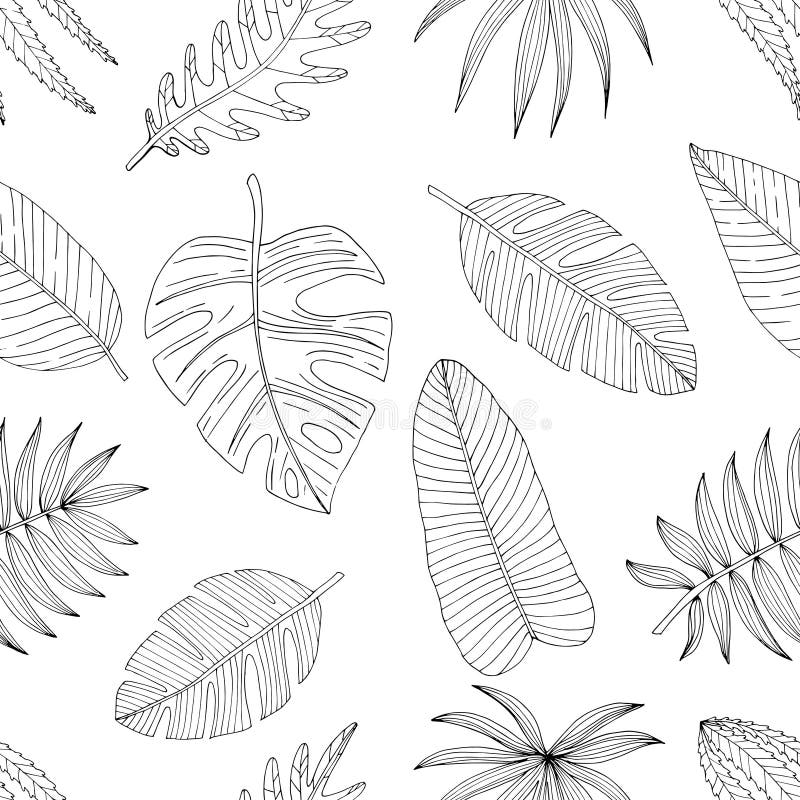 Topical Pattern Black White Stock Illustrations – 84 Topical Pattern ...