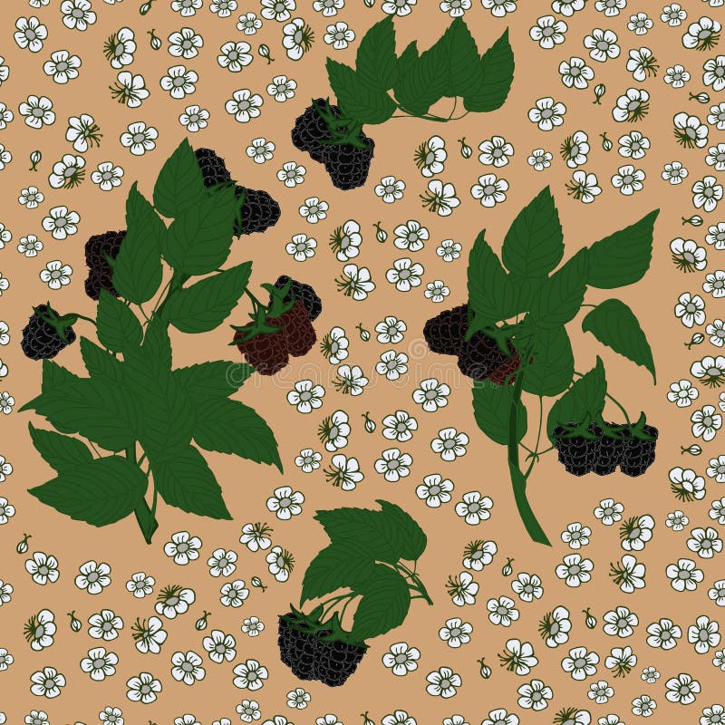Seamless Pattern with Berries of Blueberry. Blueberry Berries are Blue ...