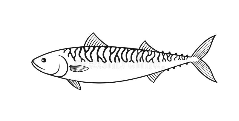 Line Art Mackerel Fish Logo Hipster Vintage Emblem Vector Seafood ...