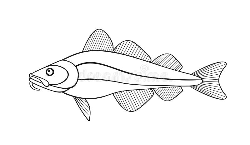 Atlantic Cod Outline. Isolated Cod on White Background Stock Vector ...