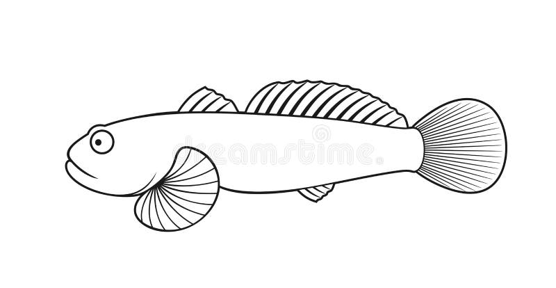 Goby Fish Stock Illustrations – 77 Goby Fish Stock Illustrations ...