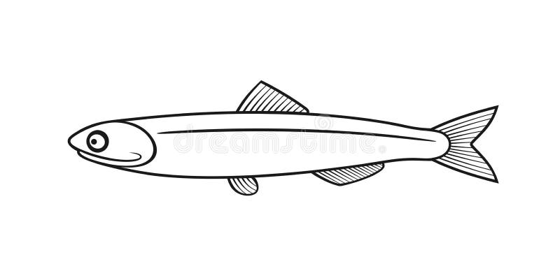Anchovy Stock Illustrations – 2,232 Anchovy Stock Illustrations ...