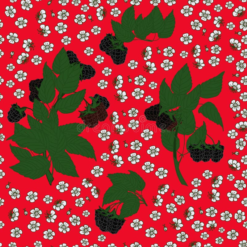 Black Raspberry Stock Illustrations – 8,860 Black Raspberry Stock ...