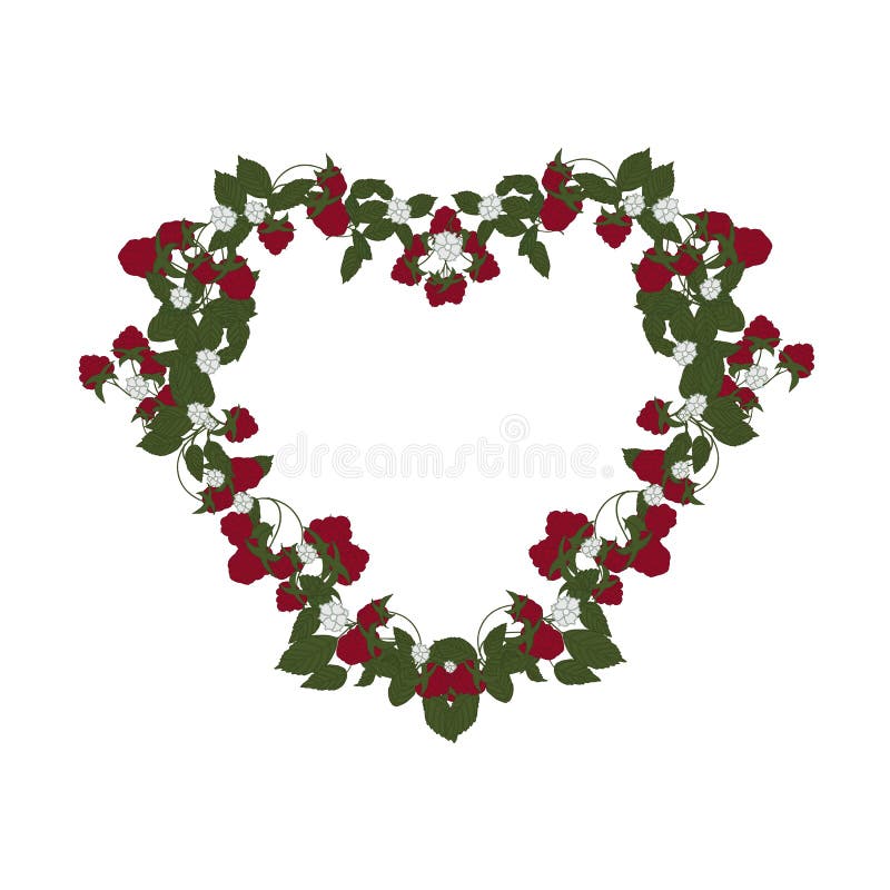 Heart of Red Berries. Pattern of Raspberry Berries, White Flowers in ...