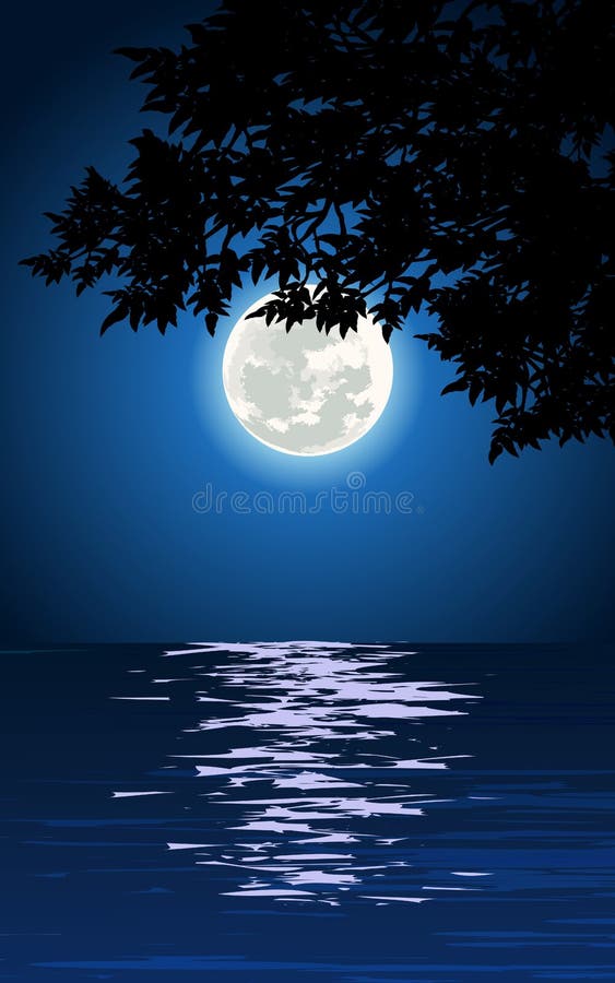 Moonlight Clip Art Moonlight Drawing PNG Transparent Images Free