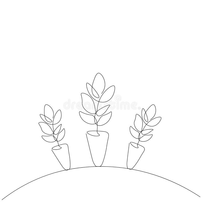 Plant in Pot on Table One Line Drawing, Vector Illustration Stock ...