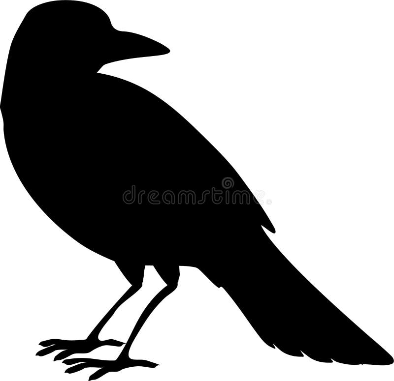 Silhouette of Illustrated Black Crow with Head Turned Back Stock ...