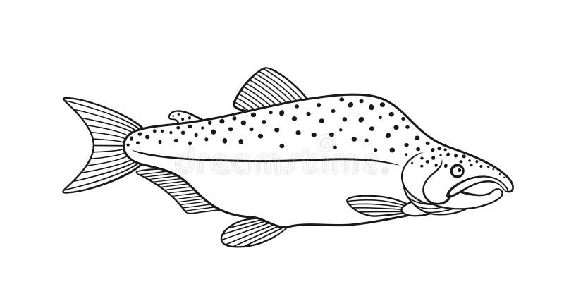 Outline Salmon Stock Illustrations – 5,829 Outline Salmon Stock ...