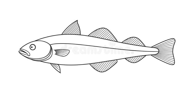 Pollock Outline Stock Illustrations – 131 Pollock Outline Stock ...