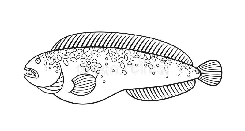 Catfish Outline Stock Illustrations – 510 Catfish Outline Stock ...