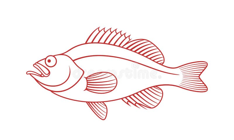 Perch Fish Outline Stock Illustrations – 635 Perch Fish Outline Stock ...