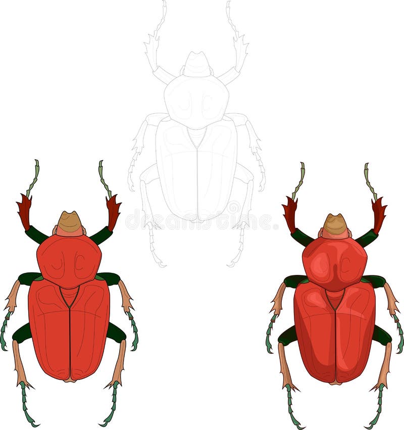 Red Bug Three Different Ways. Vector Illustartion in Color and Black ...