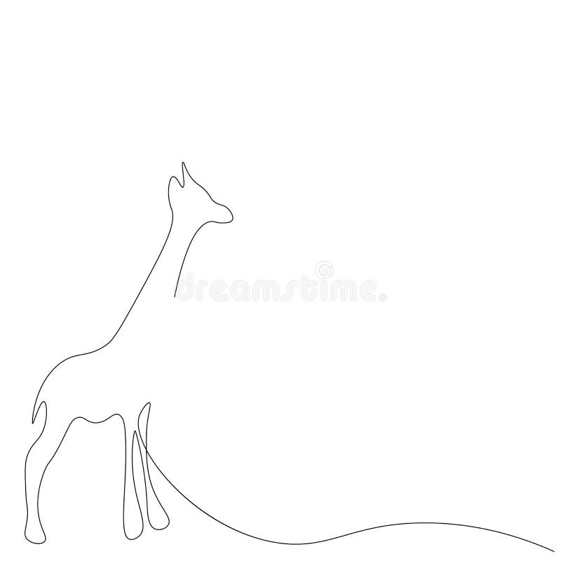 Giraffe Line Contour Vector Illustration Silhouette Isolated on ...