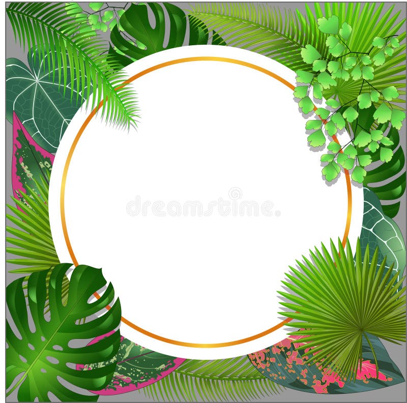 Blank Sign with Nature Leaves Stock Vector - Illustration of decoration ...
