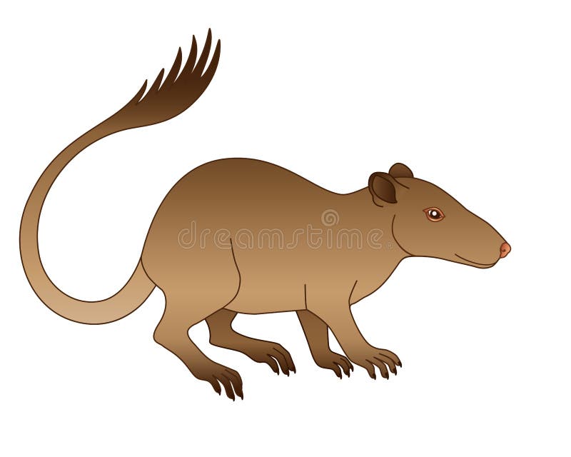 Purgatorius - Extinct Prehistoric Primate - Ancestor of Apes and Humans ...