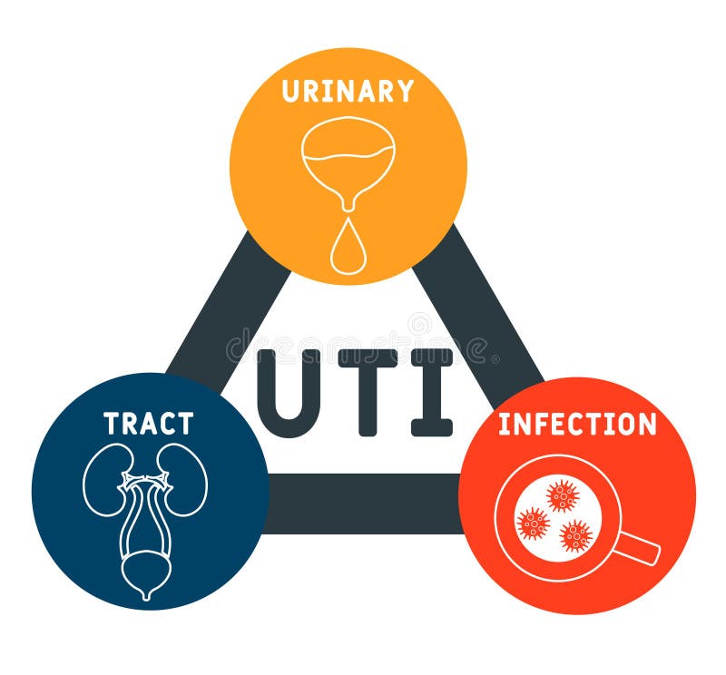 UTI - Urinary Tract Infection Acronym, Medical Concept Background ...