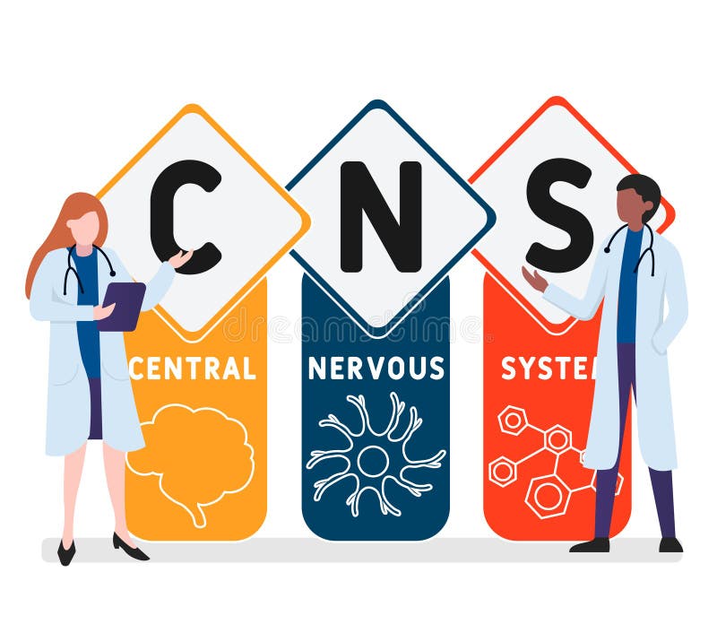 Flat Design with People. CNS - Central Nervous System Acronym, Medical ...