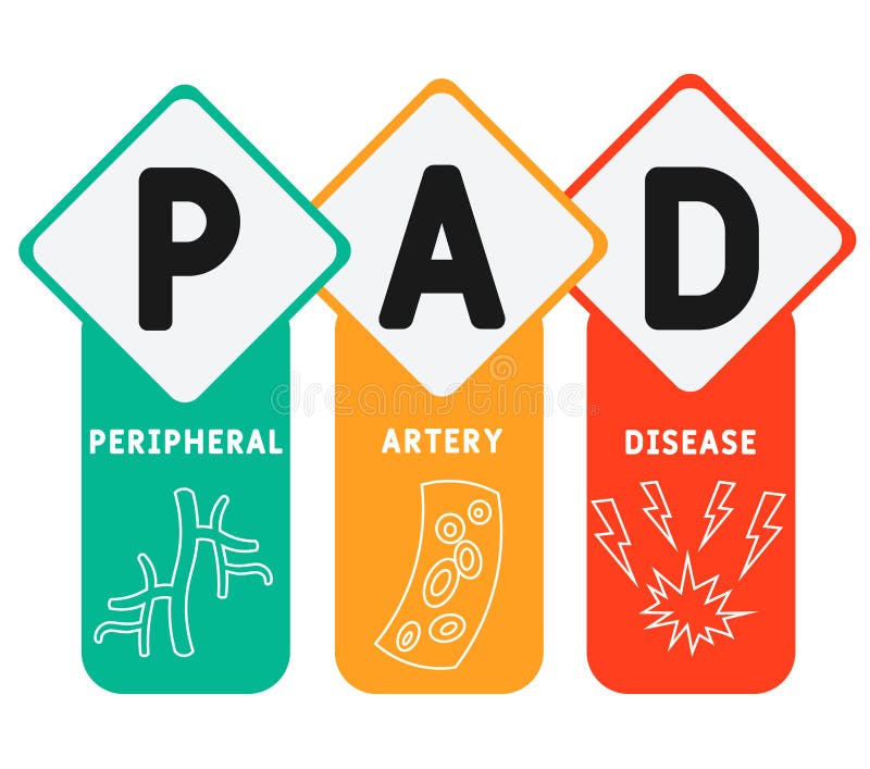 Peripheral Artery Stock Illustrations – 236 Peripheral Artery Stock ...