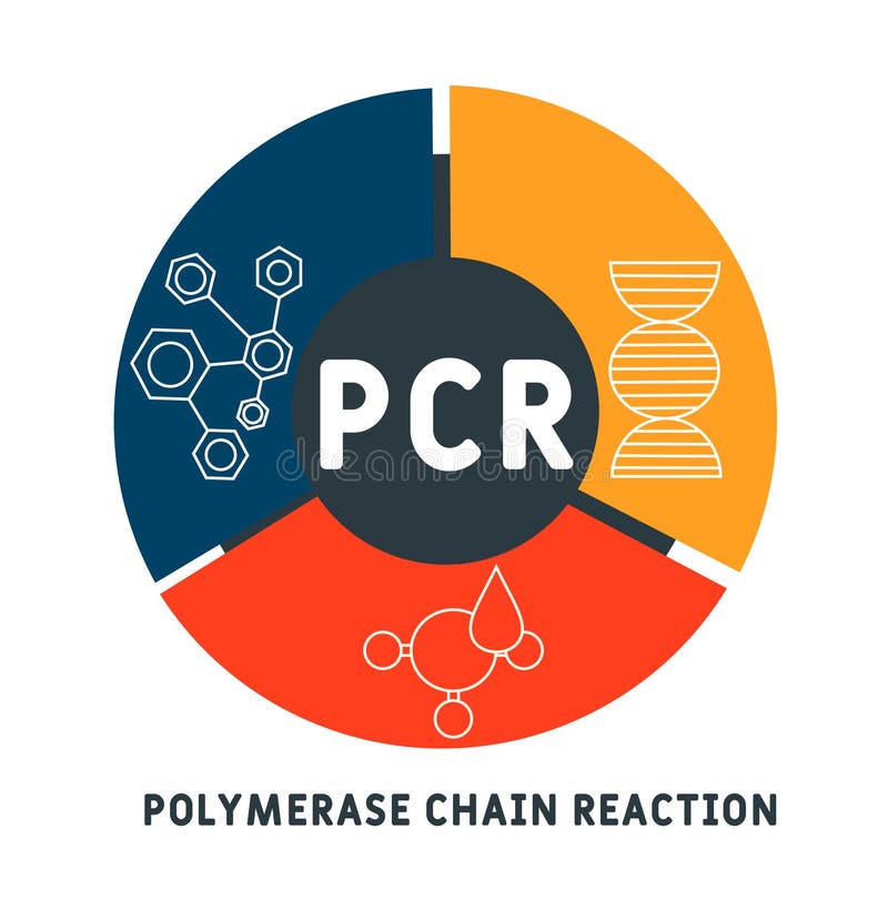 PCR - Polymerase Chain Reaction Acronym, Medical Concept Background ...