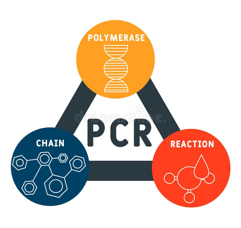 Pcr Stock Illustrations – 556 Pcr Stock Illustrations, Vectors ...