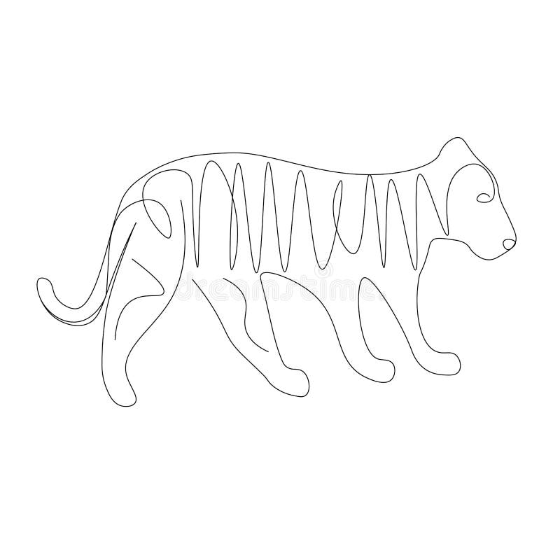 Tiger Line Drawing Stock Illustrations – 6,408 Tiger Line Drawing Stock ...