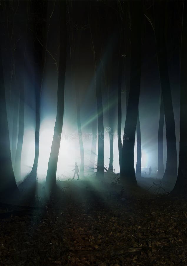 200+ Light path walking Free Stock Photos - StockFreeImages