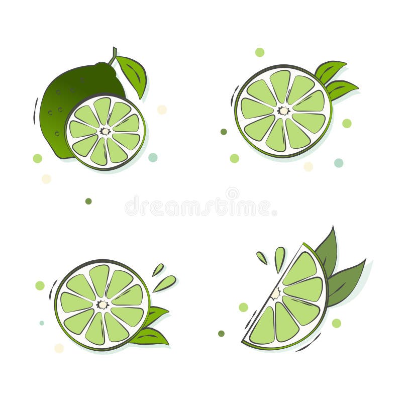 Green Lime Vector Set Illustration Sketch Style, Printable. Stock ...