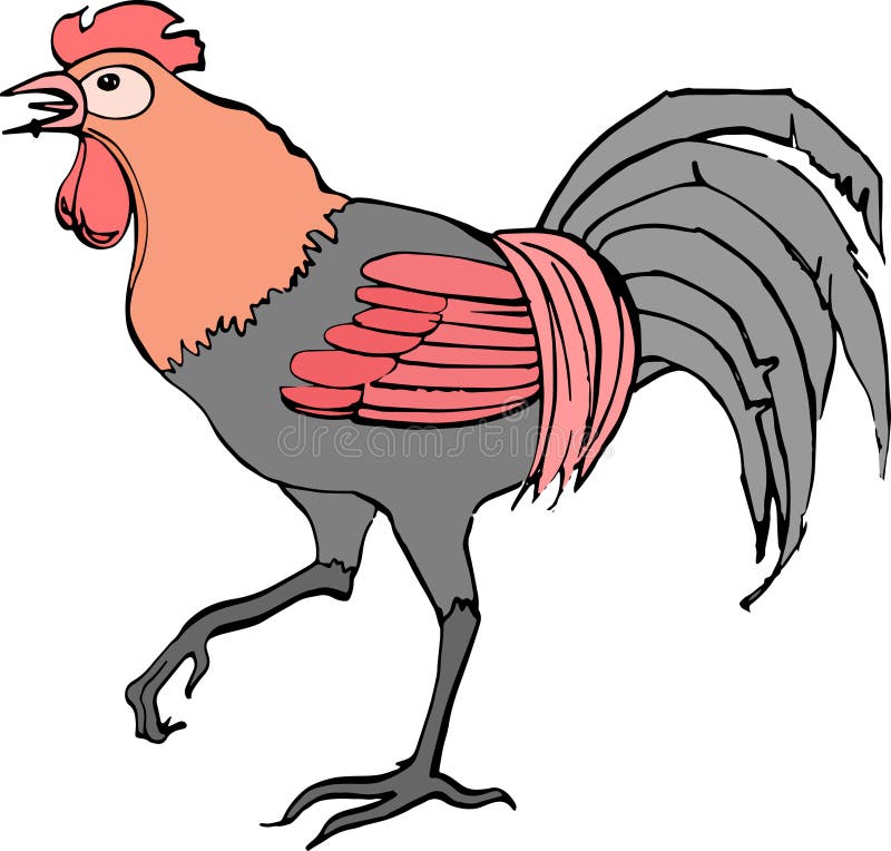 Jungle Fowl Bird Drawing Stock Illustrations – 118 Jungle Fowl Bird ...