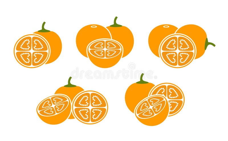 Lulo Stock Illustrations – 256 Lulo Stock Illustrations, Vectors ...