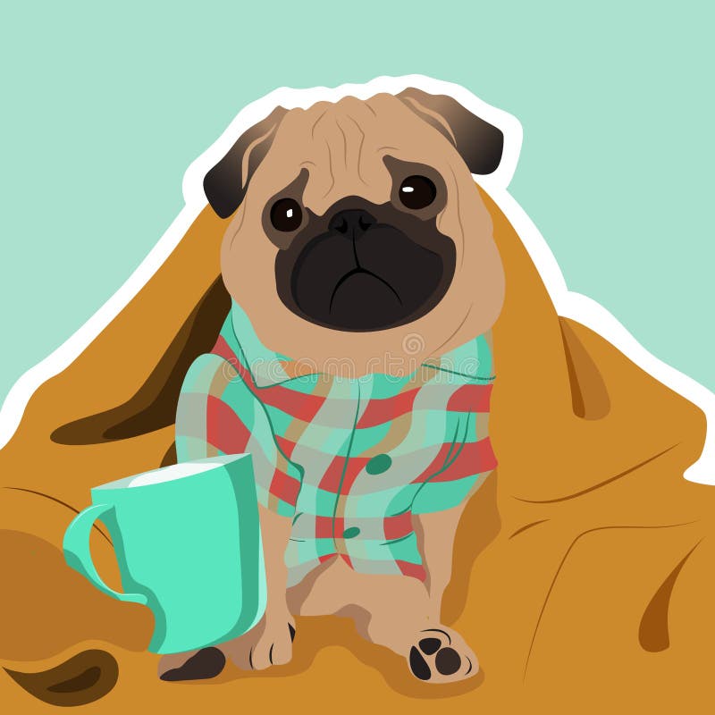 Flat Illustration of a Pug in a Winter Blanket Stock Illustration ...