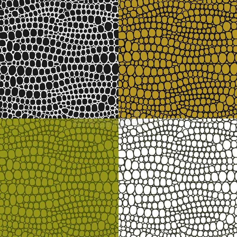 Crocodile Skin Pattern. Abstract Crocodile Skin Pattern on White ...