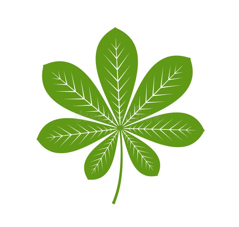 Chestnut Logo Stock Illustrations – 1,996 Chestnut Logo Stock ...