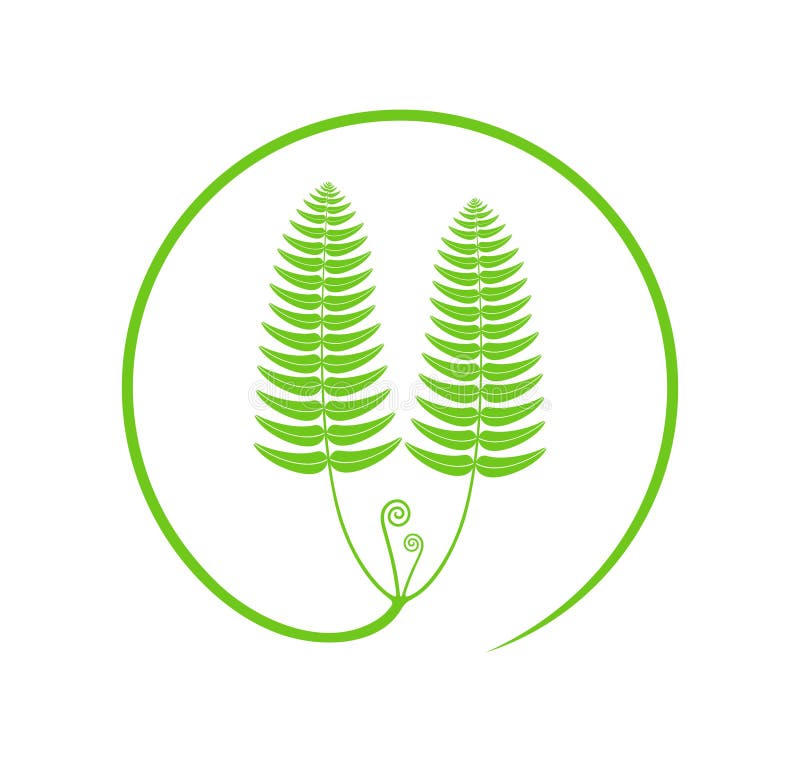 Fern Logo. Isolated Fern on White Background Stock Vector ...