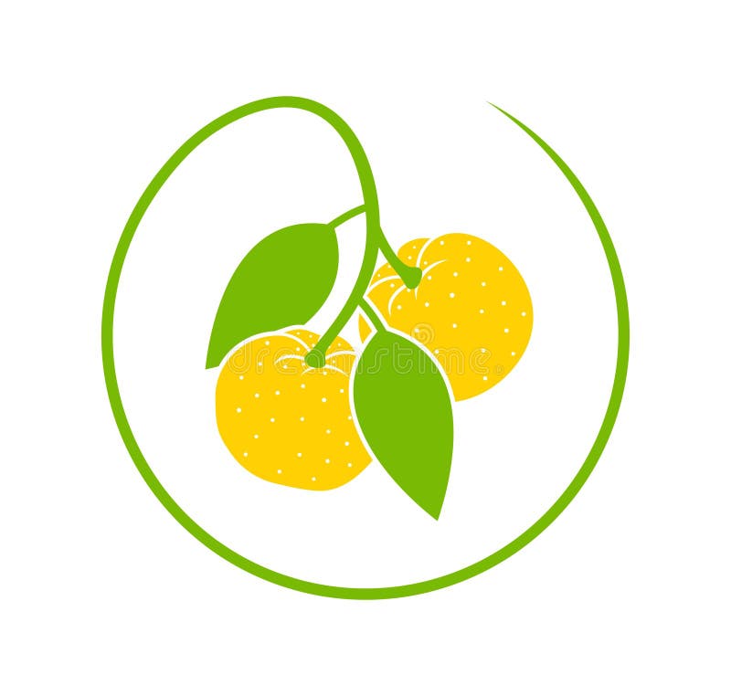 Yuzu Fruit Logo. Isolated Yuzu Fruit on White Background Stock Vector ...