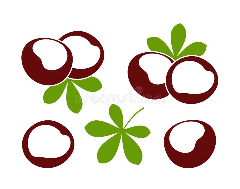 Chestnut Logo Stock Illustrations – 2,122 Chestnut Logo Stock ...