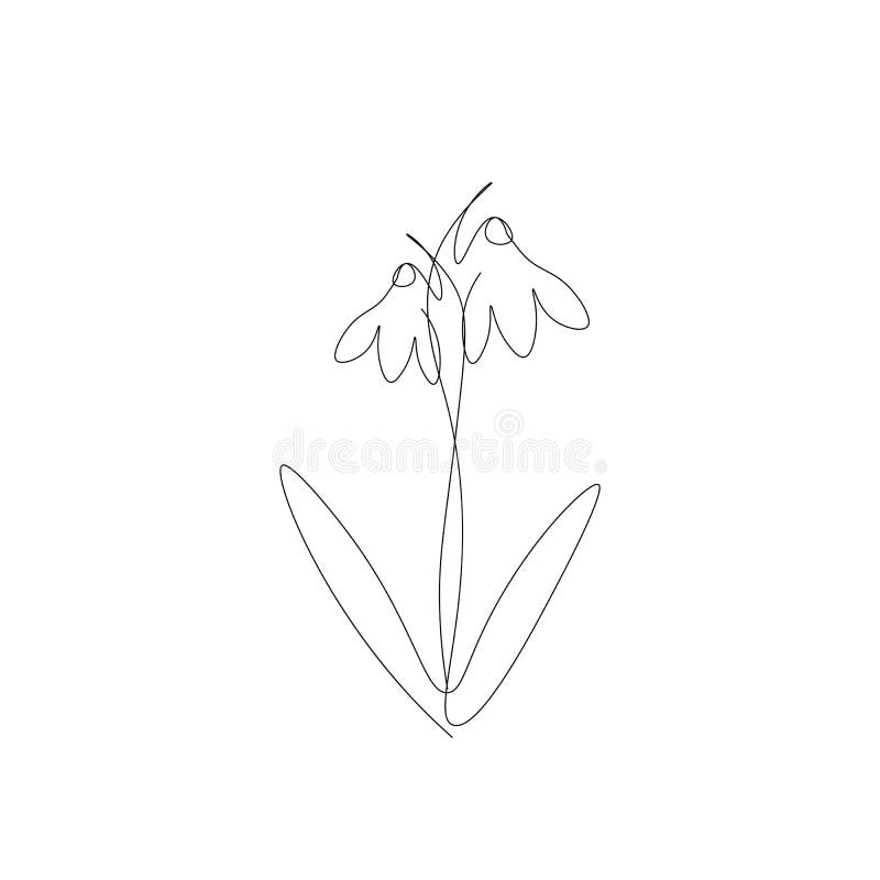 Snowdrop Flower Line Drawing Vector Illustration Stock Vector ...